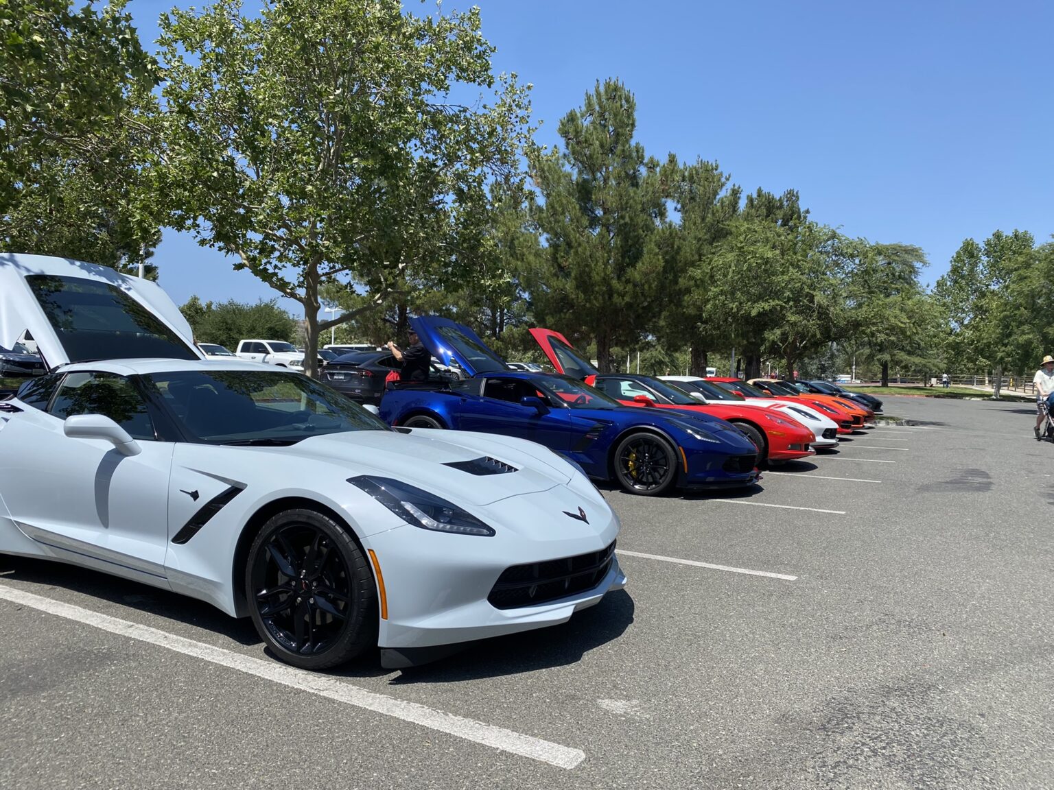 Santa Clarita Valley Corvette Club – It’s not just a car… It’s a lifestyle!